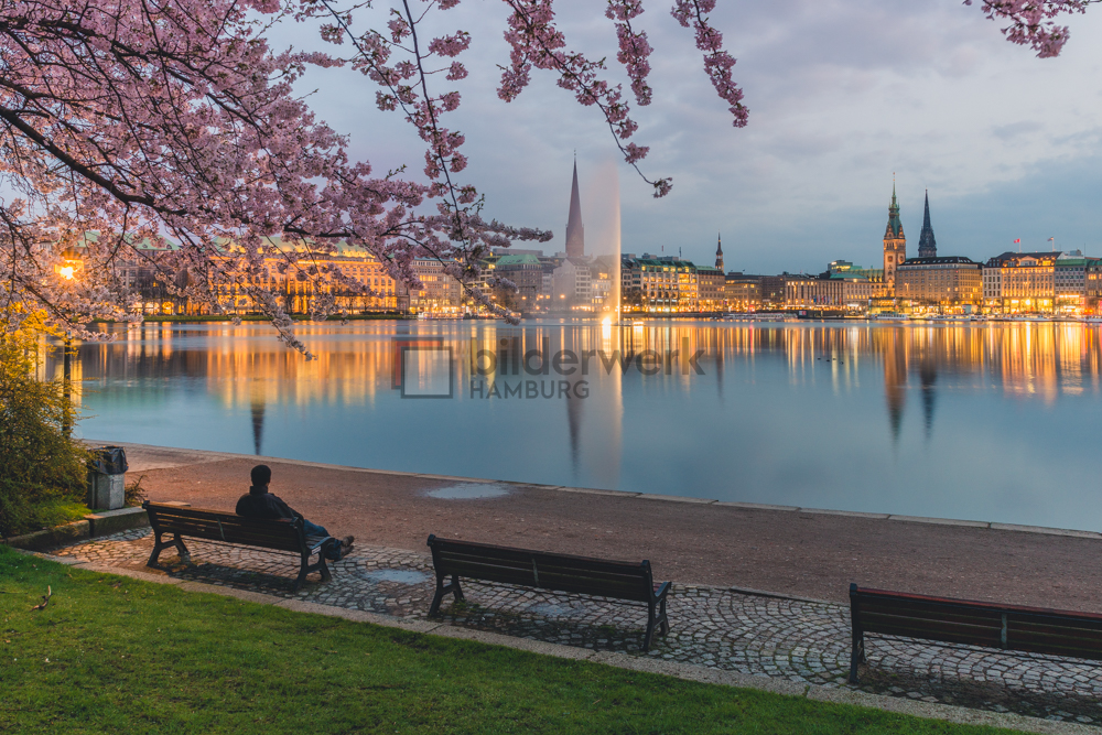 Hamburg - Alster 197 | bilderwerk Hamburg